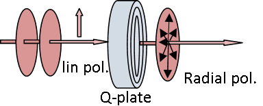 Radial Polarization